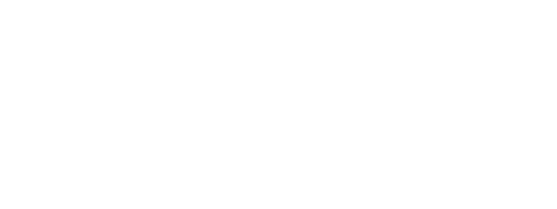 Case Studies - INICIO Partners | Turnaround & Operational Leadership